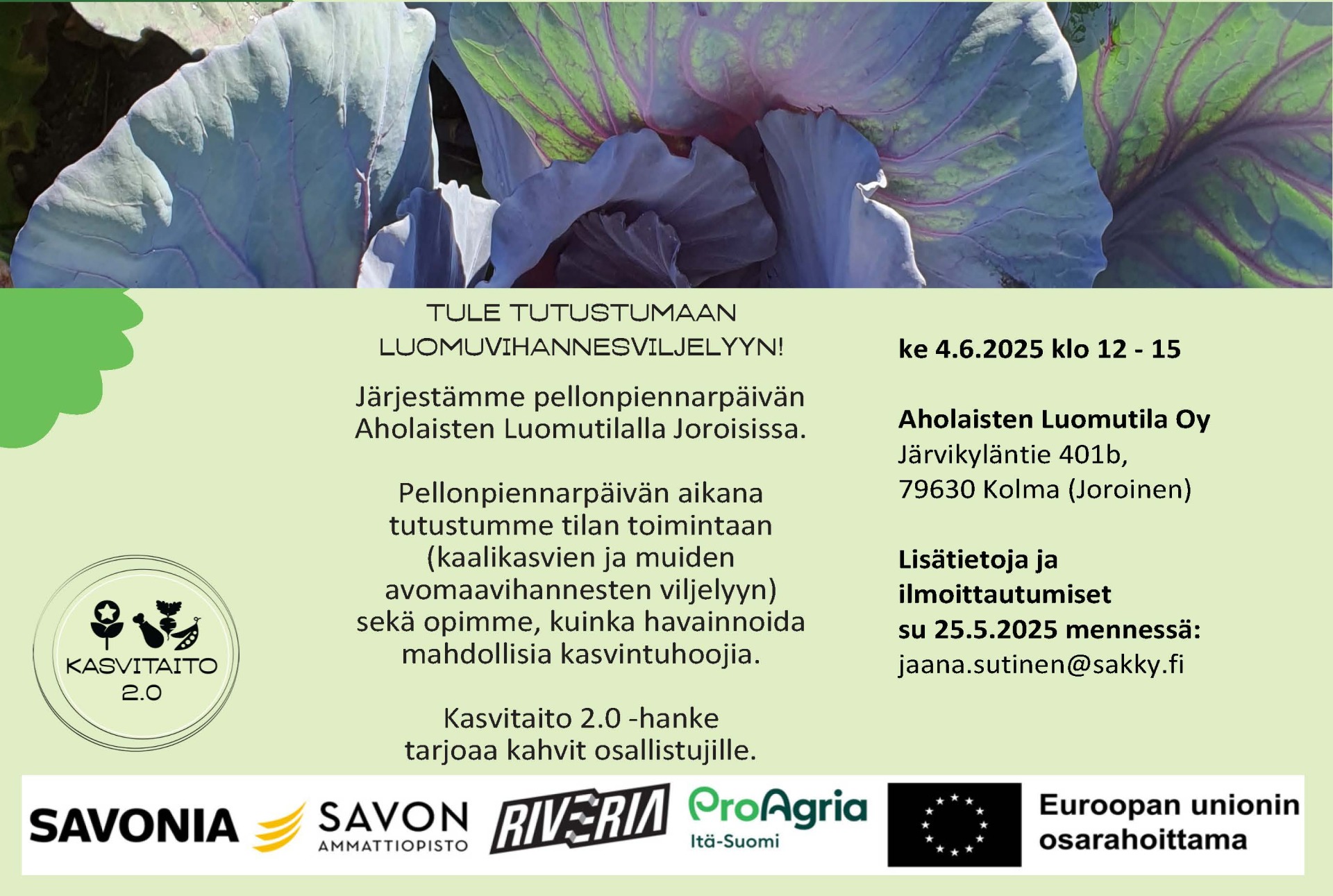 Tule tutustumaan luomuvihannesviljelyyn! Aholaisten luomutilalla 4.6.2025